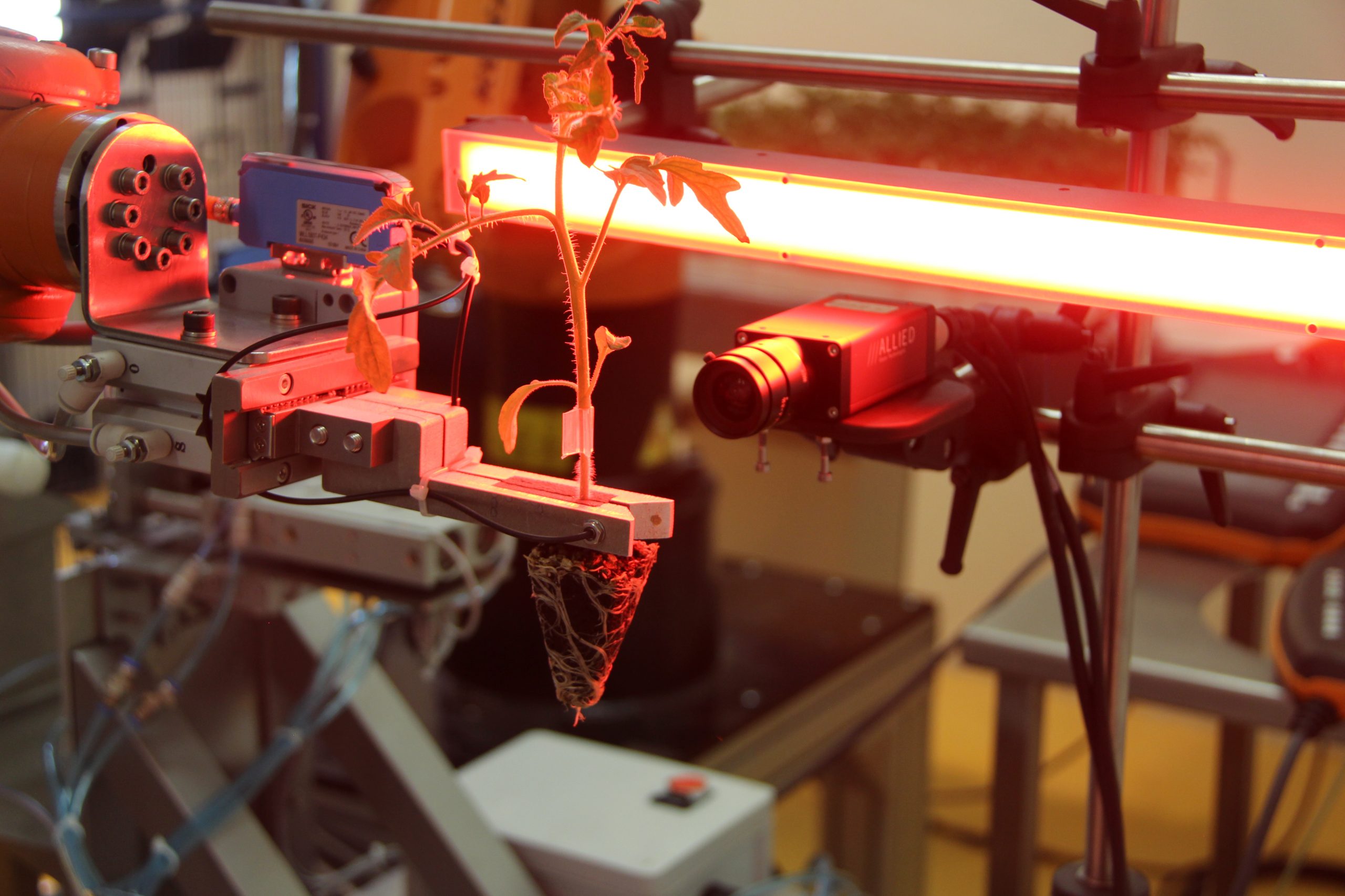 Tecnova brings the international innovation opportunity to Almeria ...