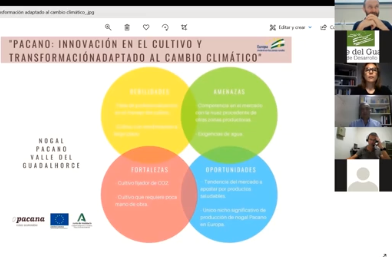 Innovación y futuro para el cultivo del Pacano en Andalucía » Centro ...